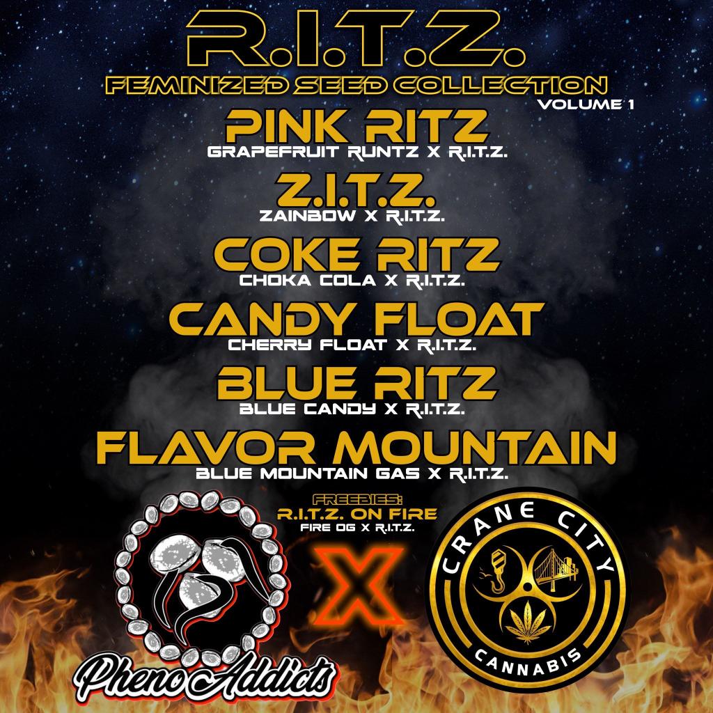 Flavor Mountain – Pheno Addicts