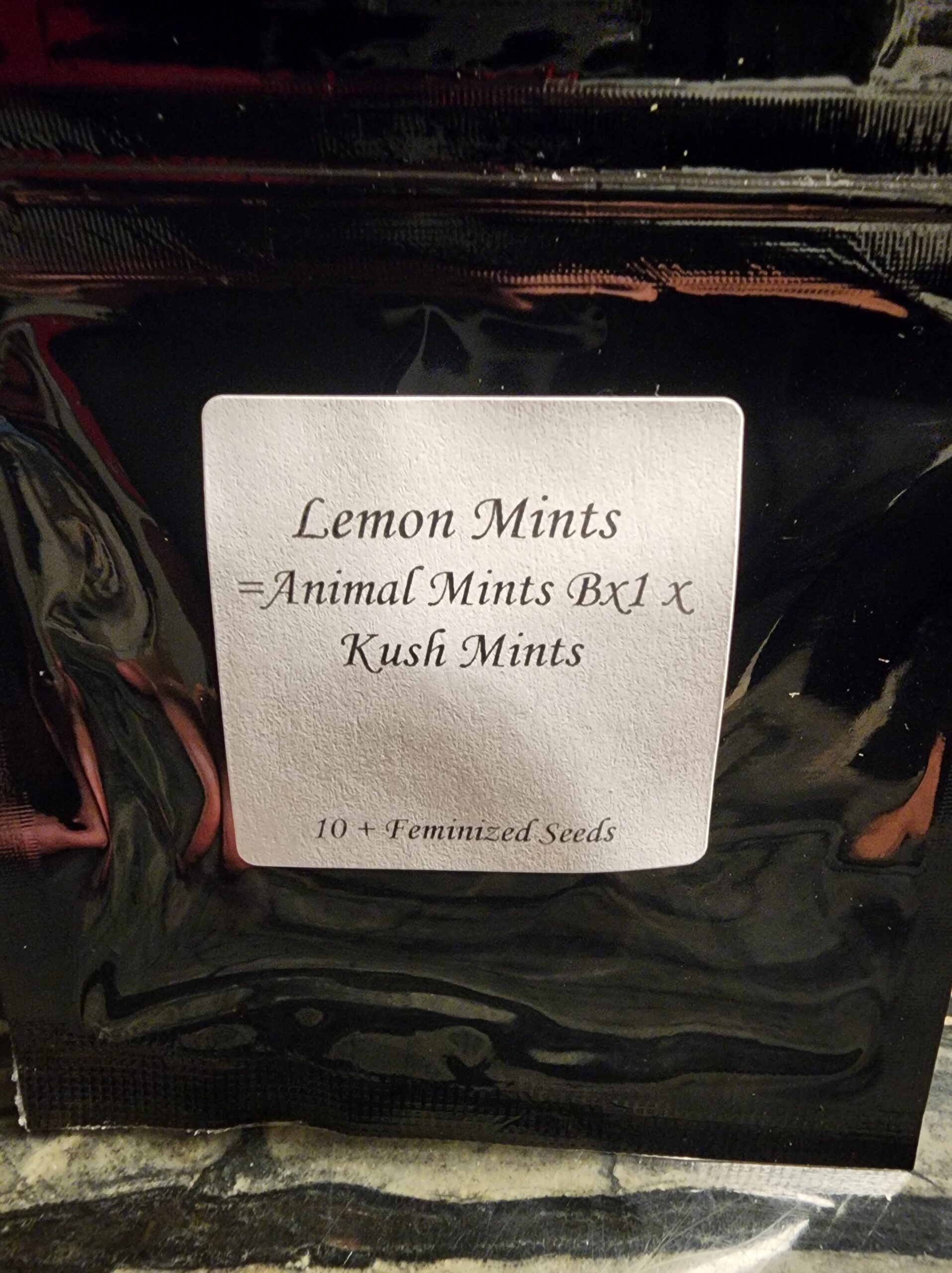 Lemon Mints – Pheno Addicts