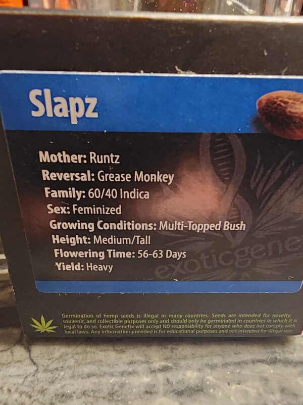 Slapz – Pheno Addicts